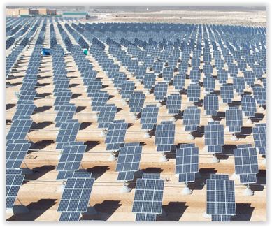 The Rice Solar Energy Project